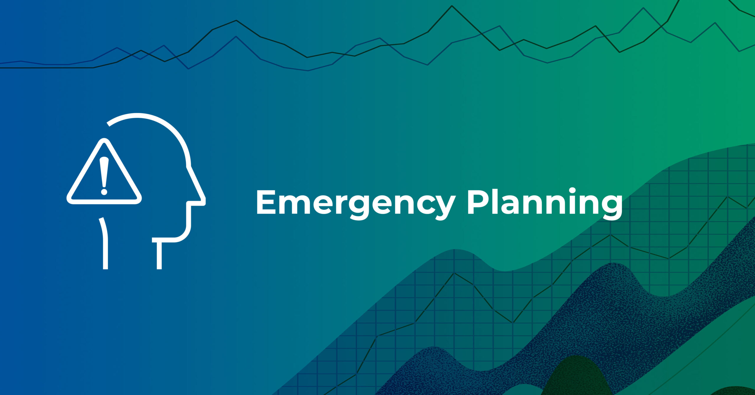 Lisa Wilson Emergency Plan Template Smart School Services